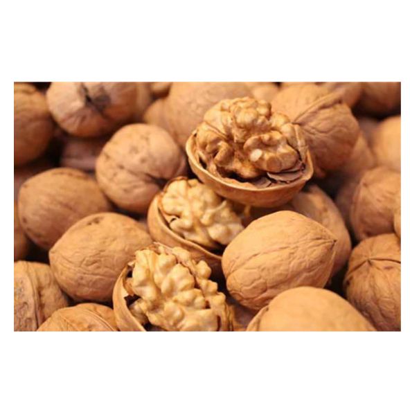 Chilean Walnuts with Shell - Premium Walnuts with Shell (1kg) – Pound Veg