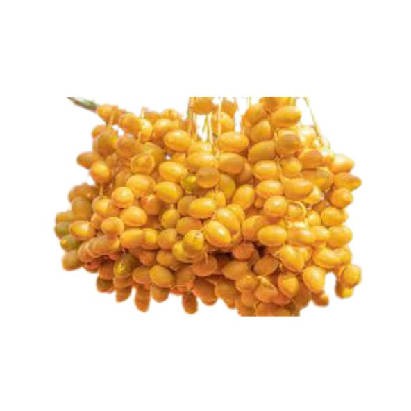 FRESH YELLOW DATES 4 Kg – Pound Veg