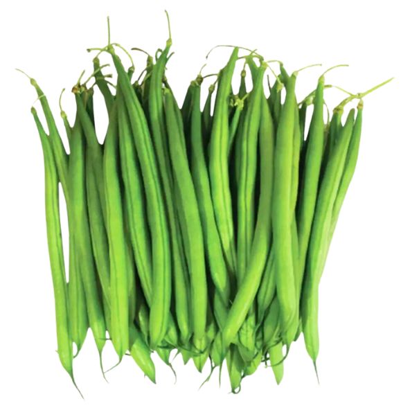Fine Beans 500 gms – Pound Veg
