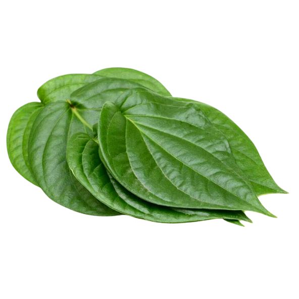 Indian Paan Leaf, Betel Leaves, Fresh Pan Leaves (25 Paan) – Pound Veg