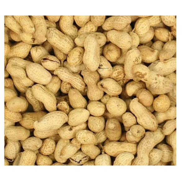 Peanuts in Shells Monkey Nuts 5 Kg – Pound Veg