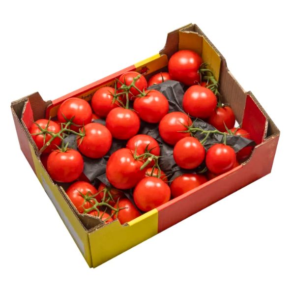 Vine Tomato Box 5 kg – Pound Veg