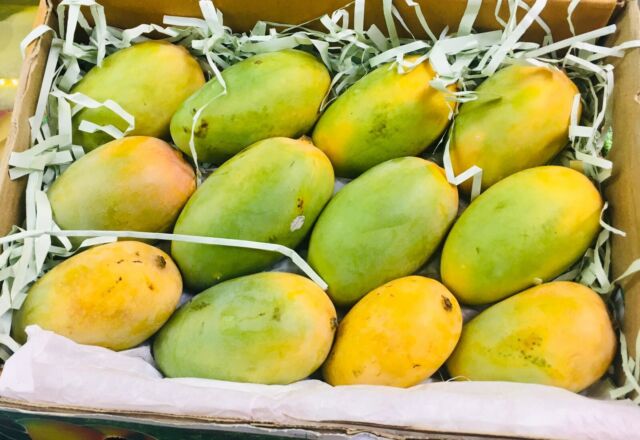 Kesar Mangoe Box of 12 – Pound Veg